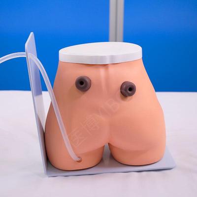 高级瘘管造口术护理训练模型