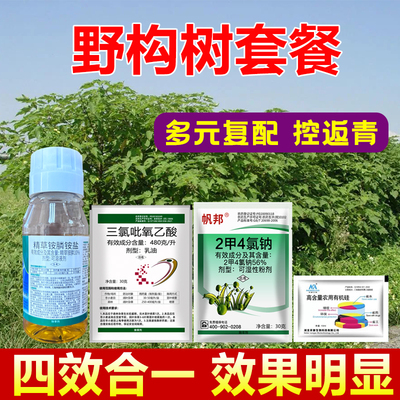 构木套餐杂草灌木拉拉藤