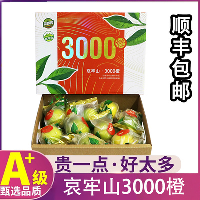 盈香园云南哀牢山3000橙冰糖橙