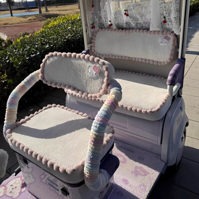 爱玛乐维CA500PRO盛昊蜻蜓金彭SU7雅迪CL12通用全包围三轮车座套