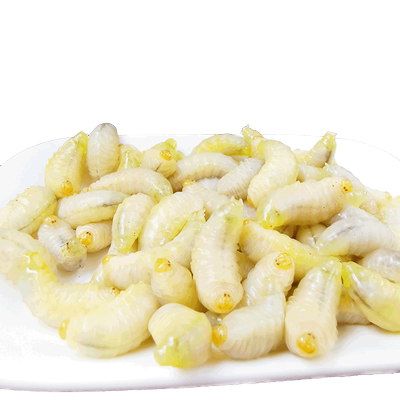 新鲜马蜂蛹 鲜活蜂蛹野生现采活体速冻500g黄蜂蛹肉可泡酒油炸