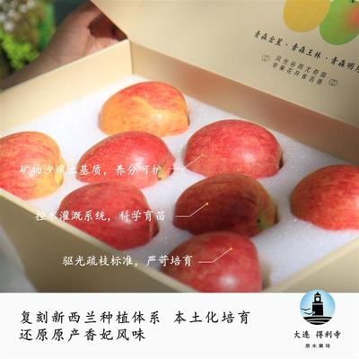 稀有烟台爱香妃苹果莱阳脆甜甘饴不氧化国产非进口SF礼盒