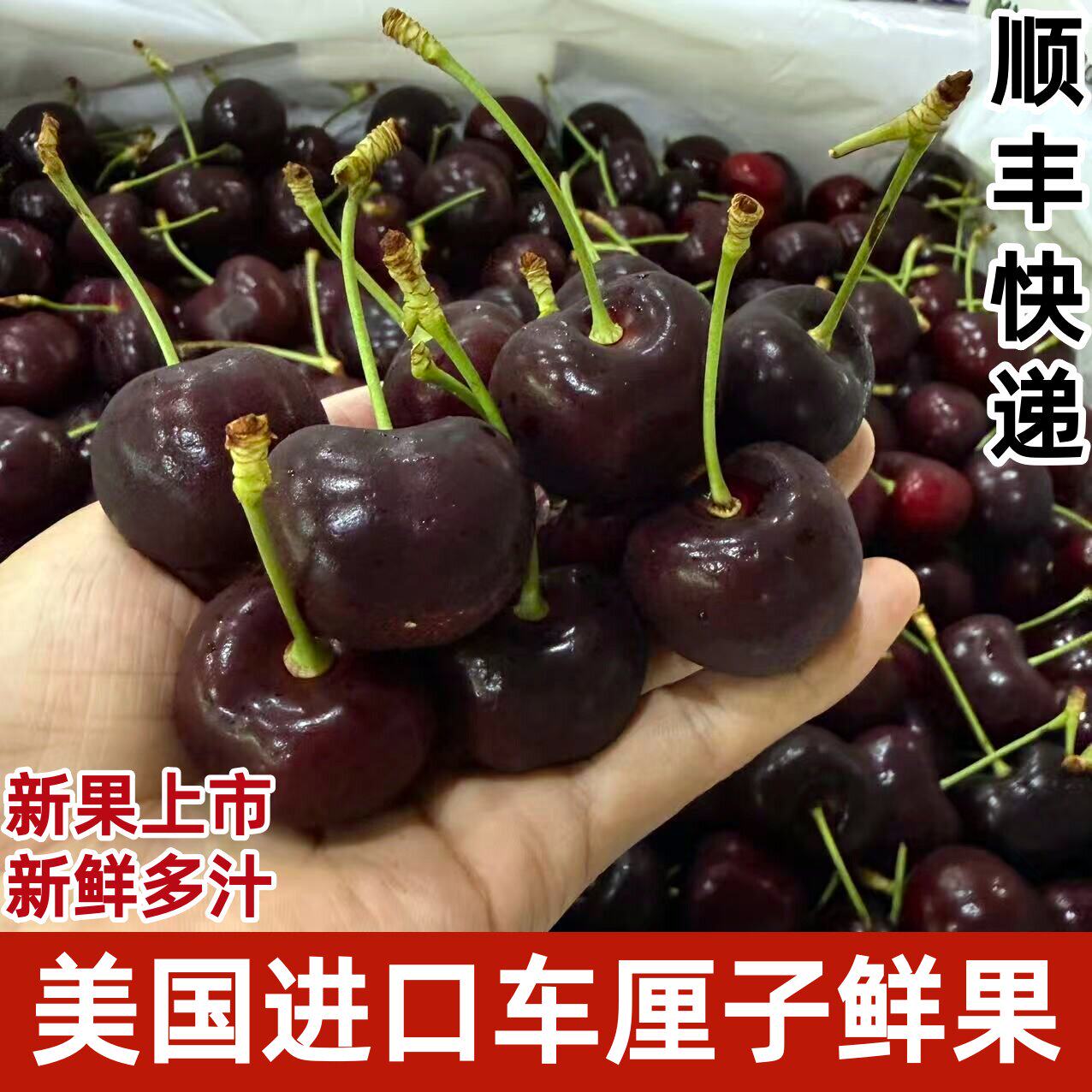 美国进口车厘子大樱桃当季时令新鲜孕妇水果2斤装顺丰快递