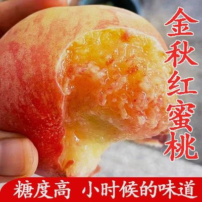 金秋红蜜桃山东烟台寒露蜜桃冬桃脆甜多汁毛桃子当季新鲜水果晚桃