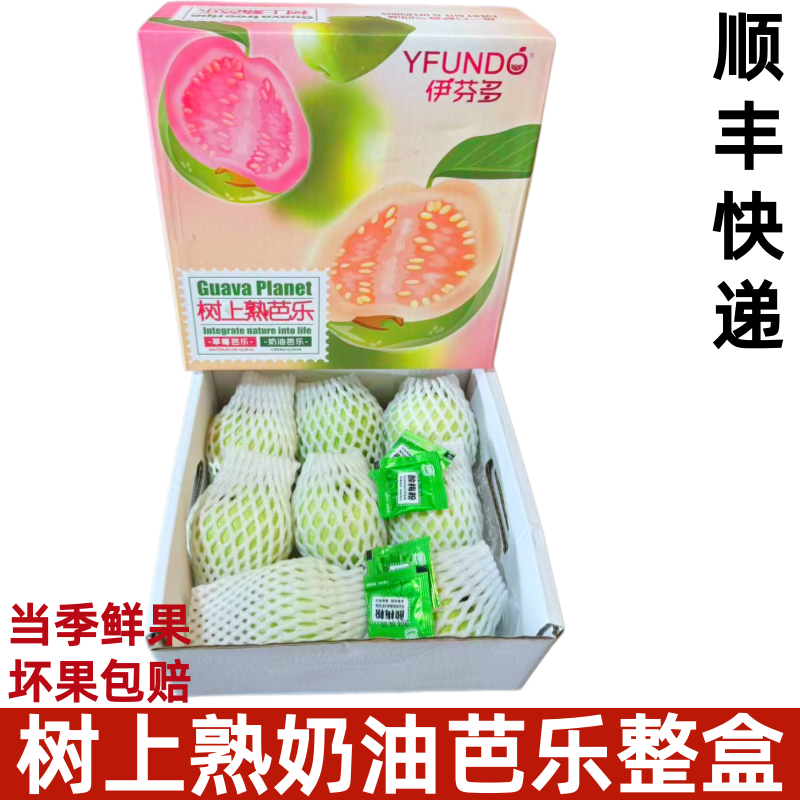 树上熟奶油芭乐新鲜水果白心番石榴孕妇3斤软糯香顺丰快递