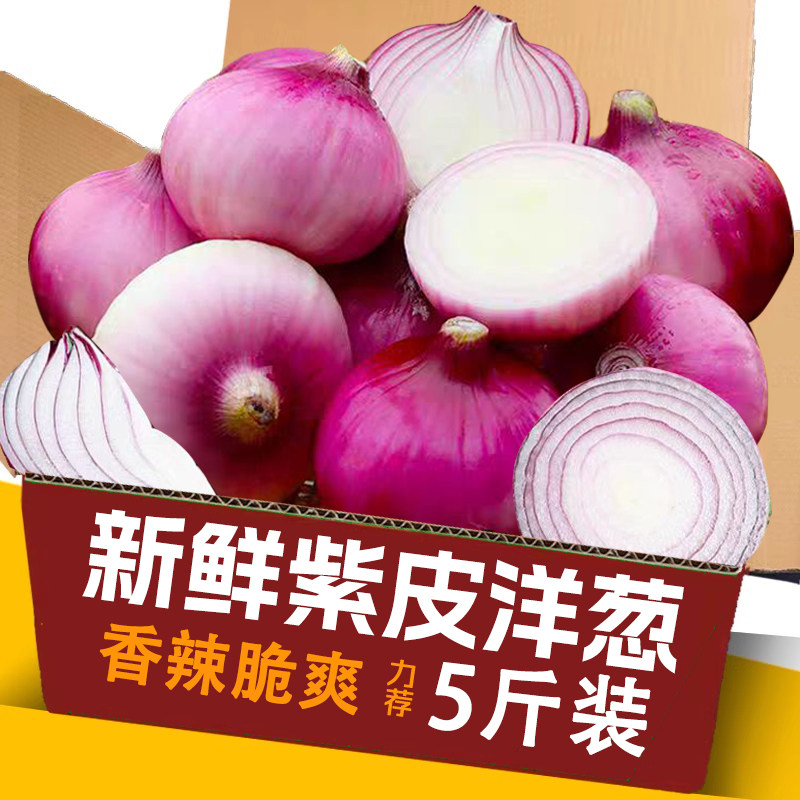 水果洋葱农家脆甜紫皮圆葱头新鲜爽口生吃蔬菜不辣红皮大圆葱现挖