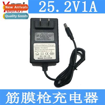 25.2V1A fascia gun charger fascia gun accessories polymer el