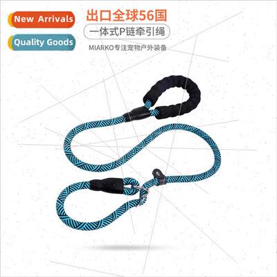 Dog leash explosion-propunch P chain dog walking leash anti-