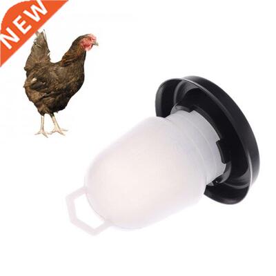 1PC Kettle Shape Plastic Chicken Water Drinking Bird Quail P