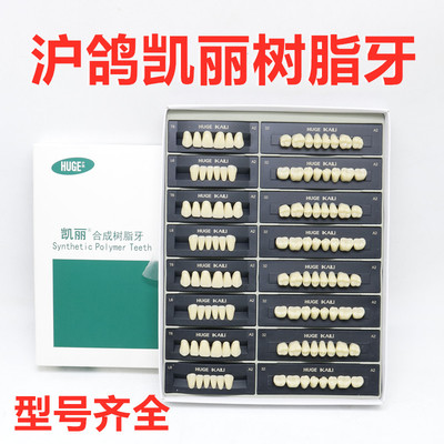 牙科材料沪鸽合成树脂牙