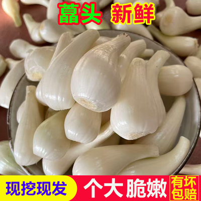 农家种植新鲜藠头带叶炒菜