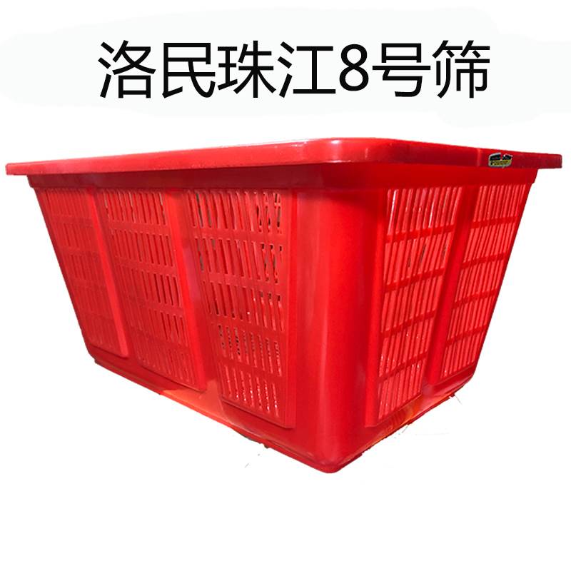 广州洛民珠江塑料方筛酒店收纳洗菜沥水筛周转筐水果篮