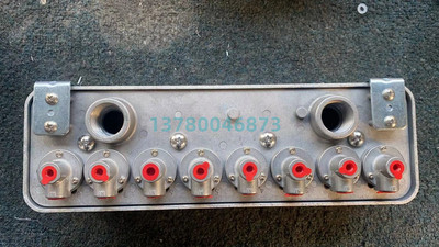 RCA3D先导阀RCA 3-12V12 RCA3D2远程控制先导箱脉冲阀