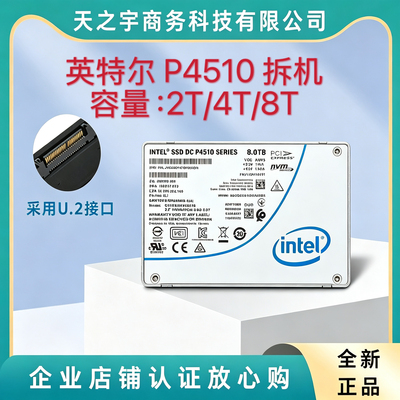 P45108T/4T/2Tu.2固态硬盘