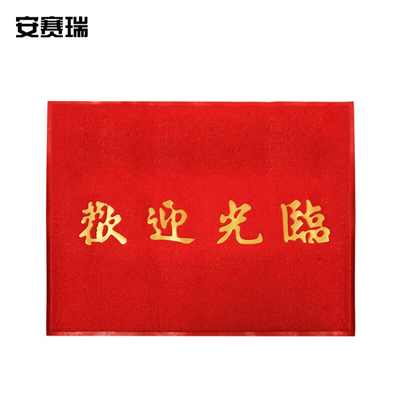 安赛瑞 PVC丝圈防滑走道垫 加厚丝圈地垫 防滑喷丝进门垫 12651