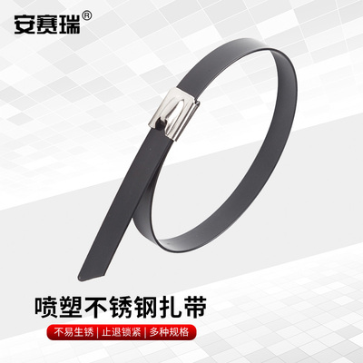 安赛瑞 喷塑304不锈钢扎带 金属捆扎带船用电缆标牌固定 2A00362