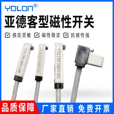 磁性开关感应器气缸讯号接近开关二线电DMSJ/DMSG/DMSE/DMSH-020