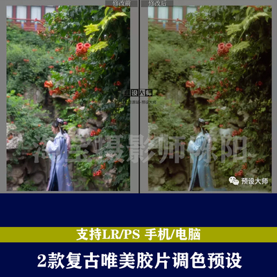 lr预设ps预设复古唯美胶片调色预设滤镜手机lightroom预设