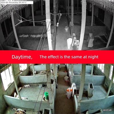 50000 Poe摄像机室内半球形双光夜视全彩高清网络监控摄像机兼容