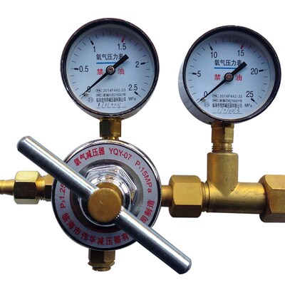 钢瓶款YQYG-224氧气减压器小阀体减压表YQEG-224YQWG-224高压气