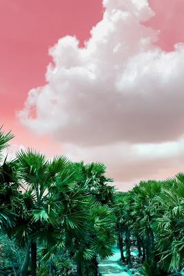 甘蔗和香草兰CANDLEWORKS精油