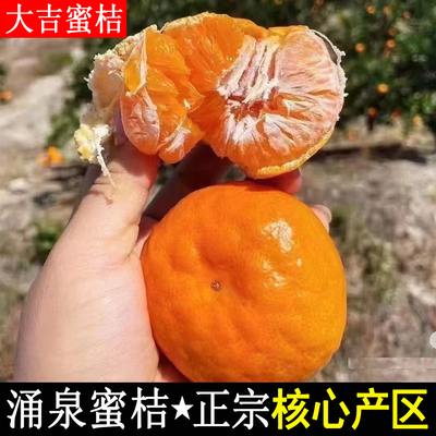 【涌泉镇核心产区】正宗浙江台州临海涌泉蜜桔无核宫川高山桔子甜