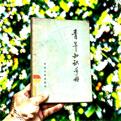 1983年《青年知识手册》电子书pdf源文件电子版扫描件