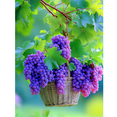 简约仿真葡萄自粘防水贴纸画防晒PVC材质客厅餐厅玄关自粘贴纸画