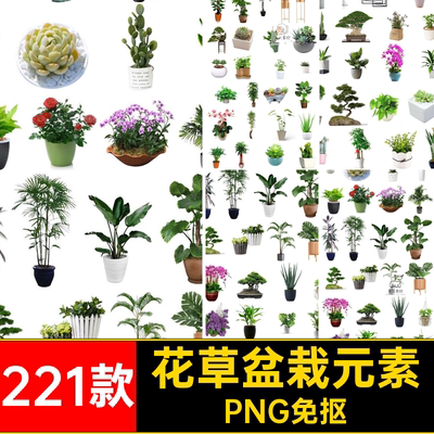 园林景观盆栽元素PNG免抠图绿植图片背景PS盆景植物221款花草免