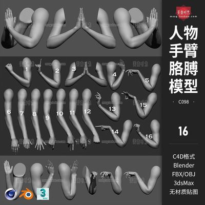 16款手部姿势blender女生手臂胳膊3D模型c4d素材fbx无材质obj白模