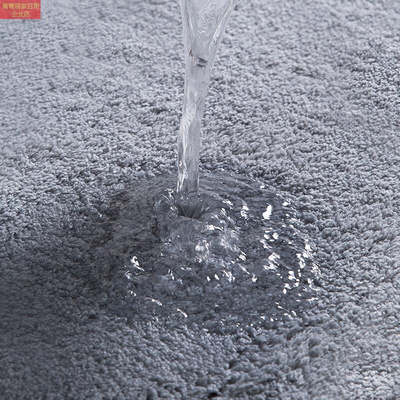 极速Doobr mat door mat household bathroom carpet bathroom no