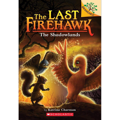The Last Firehawk 5 Shadowlands 学乐大树Branches 火鹰传奇5 英文原版 儿童小初文学 桥梁章节书 又日新