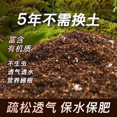 自家蓝莓基地用基质土多年配方不板结疏松透气透水杜鹃月季通用土