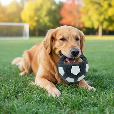 Dog Calming Ball with Handle Pet Dog Football Shape Toy Inte
