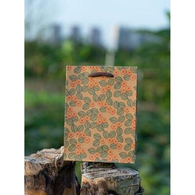 high quality Kraft paper bags custom gift packing bag 包装袋