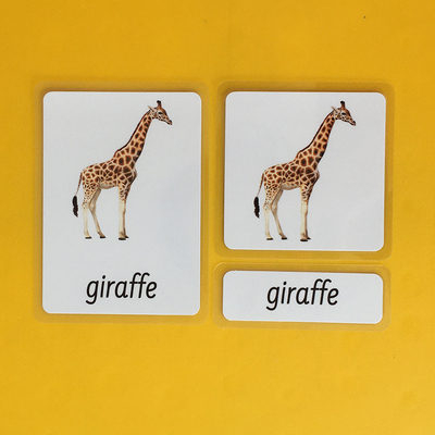 蒙氏教学语言区三段卡片闪卡教具