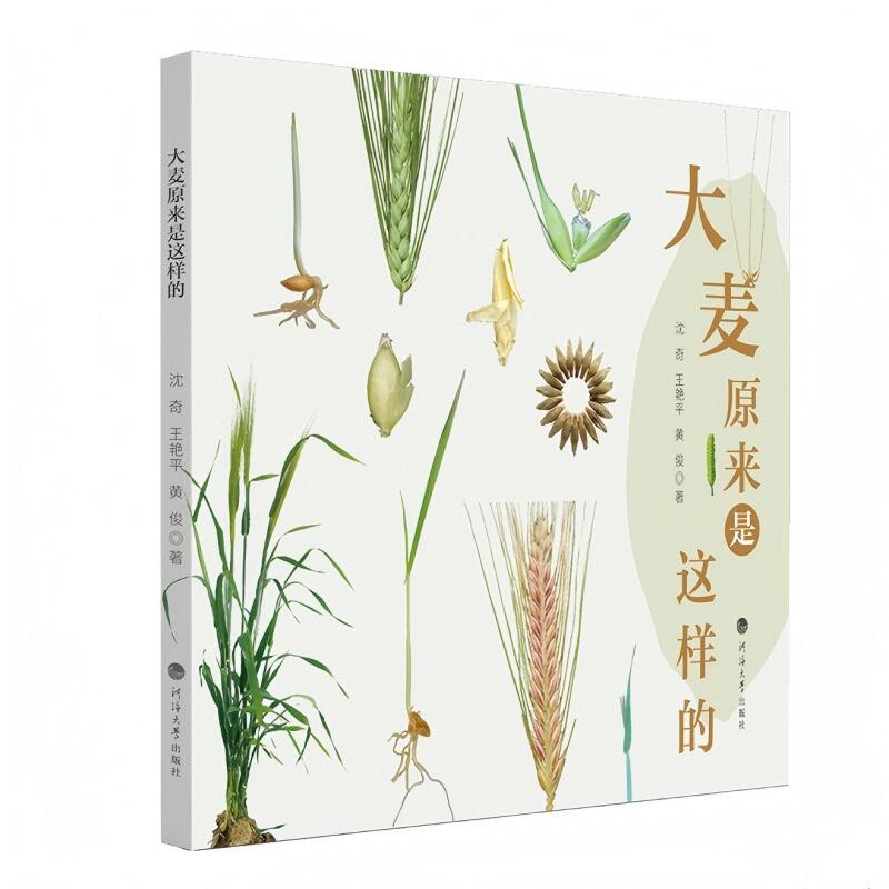 大麦原来是这样的沈奇,王艳平,黄俊农业基础科学河海大学出版社新华书店正版