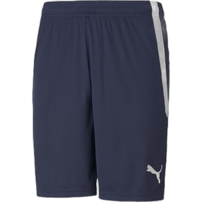 PUMA TEAMLIGA 比赛裤足球训练服 705151-06彪马男子休闲专业运动