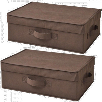 【日本直邮】山善YAMAZEN浅型储物箱 收纳箱2件套 棕色