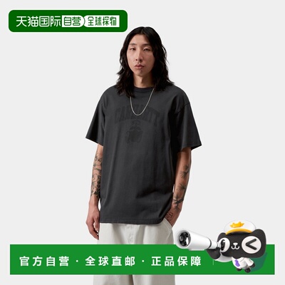 自营欧洲直邮Carhartt WIP Faded Pond Corps男士棉印花图案短袖T