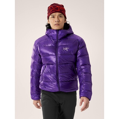 自营1h可退 欧洲直邮Arcteryx始祖鸟 Cerium SV男士1000蓬松度羽