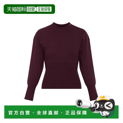 香港直邮Anine Bing 女士针织衫 A0812717BGN280FIG AW2026