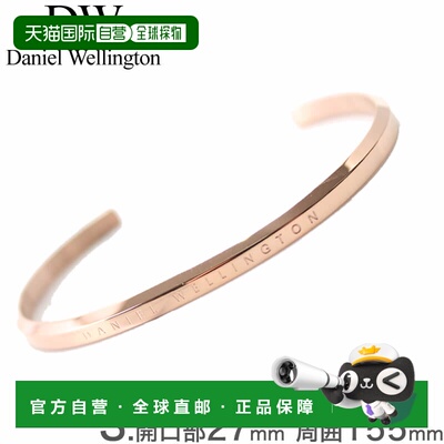 自营 Daniel Wellington 手链 女士 DW00400003 配饰 DW 热门品牌