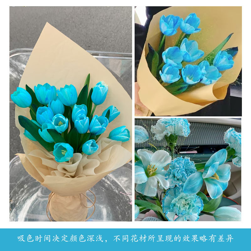 母亲节薄荷曼波郁金香染色剂吸色染剂洋牡丹吸色剂鲜花吸染染料