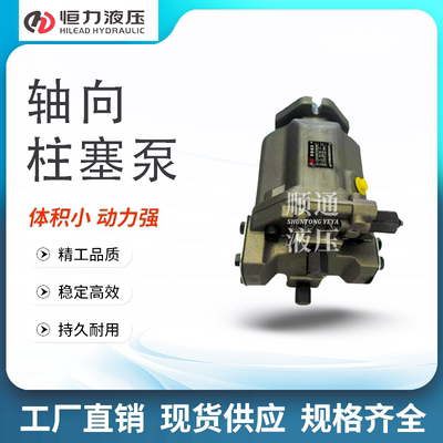 宁波恒力HL-A10VSO18245