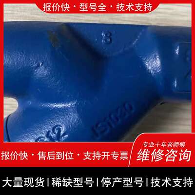 可维修斯派莎克Y型器FIG12 PN25 JS1030议价
