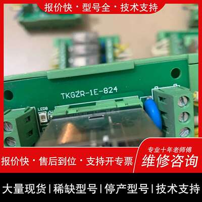 可维修SanwoRelay TKGZR-1E-824议价
