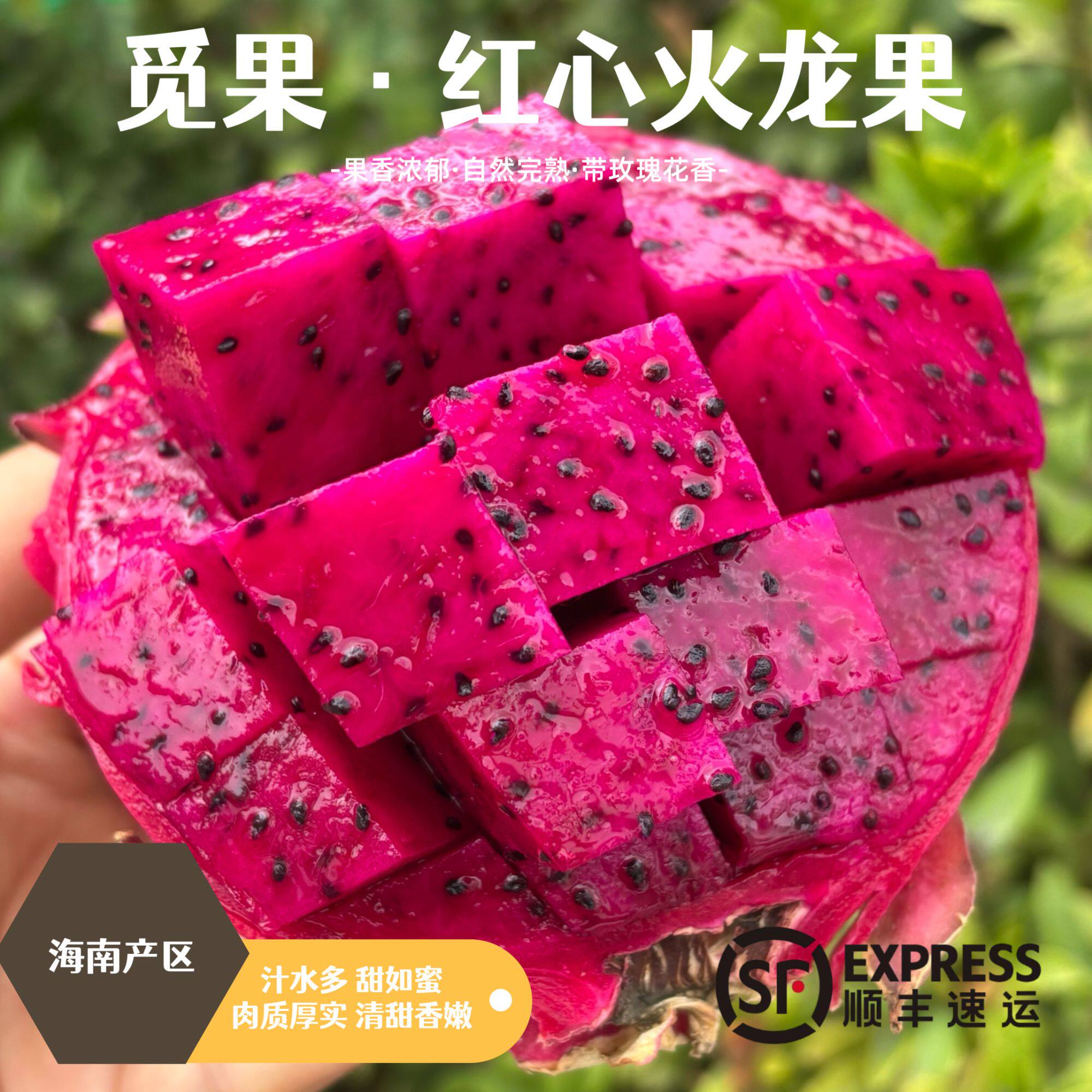 海南红心火龙果甜度好果香浓郁自然完熟树上熟5斤顺丰陆运