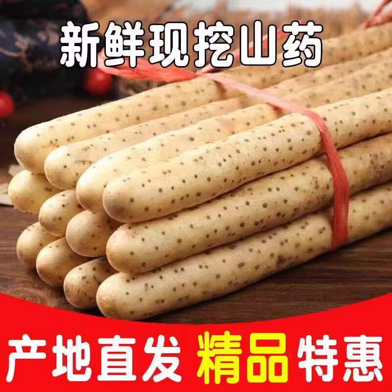 山药新鲜5斤淮山药铁棍山药铁杆正宗小白嘴山药粉糯长白山药