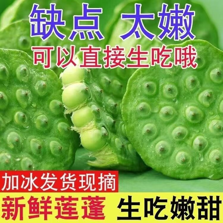 现摘生吃新鲜嫩莲蓬现孕妇当季莲子应季水果新鲜莲蓬湘莲带壳莲蓬